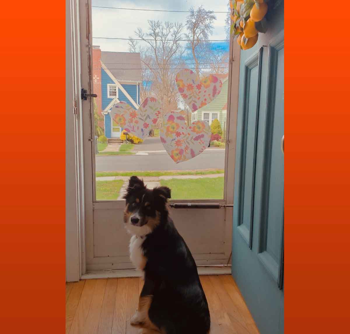 Thank you message from Gretchen, April 23rd | Hartford HealthCare | CT