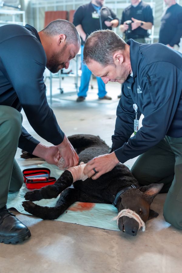 K9 Simulator Provides Police with Hands-On First Aid Training ...