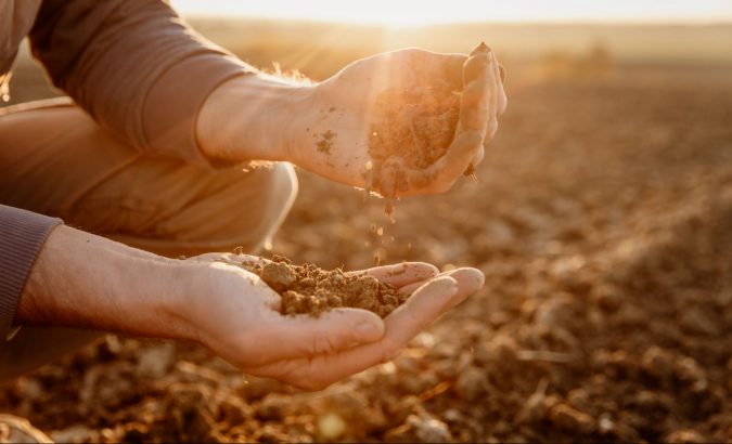 Bacteria That Causes Rare, Serious Disease Found in U.S. Soil - Health ...