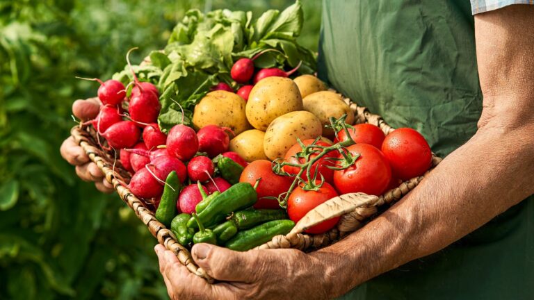 The 8 Best Vegetables for Your Health - Health News Hub